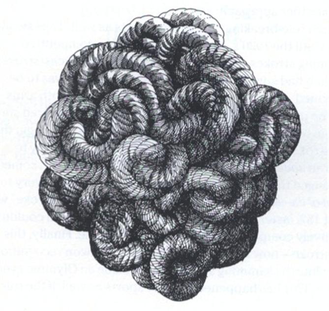 Cutting the Gordian Knot